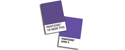 Color of the Year 2018 - Swann Portraits